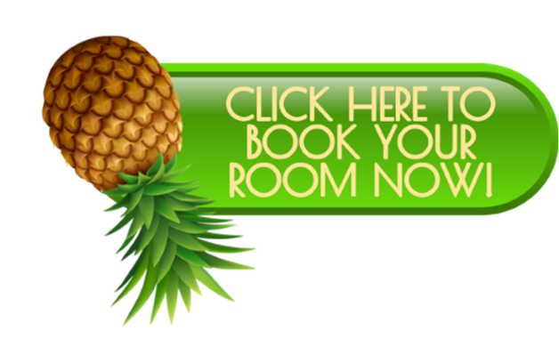 Play Champagne - Travel